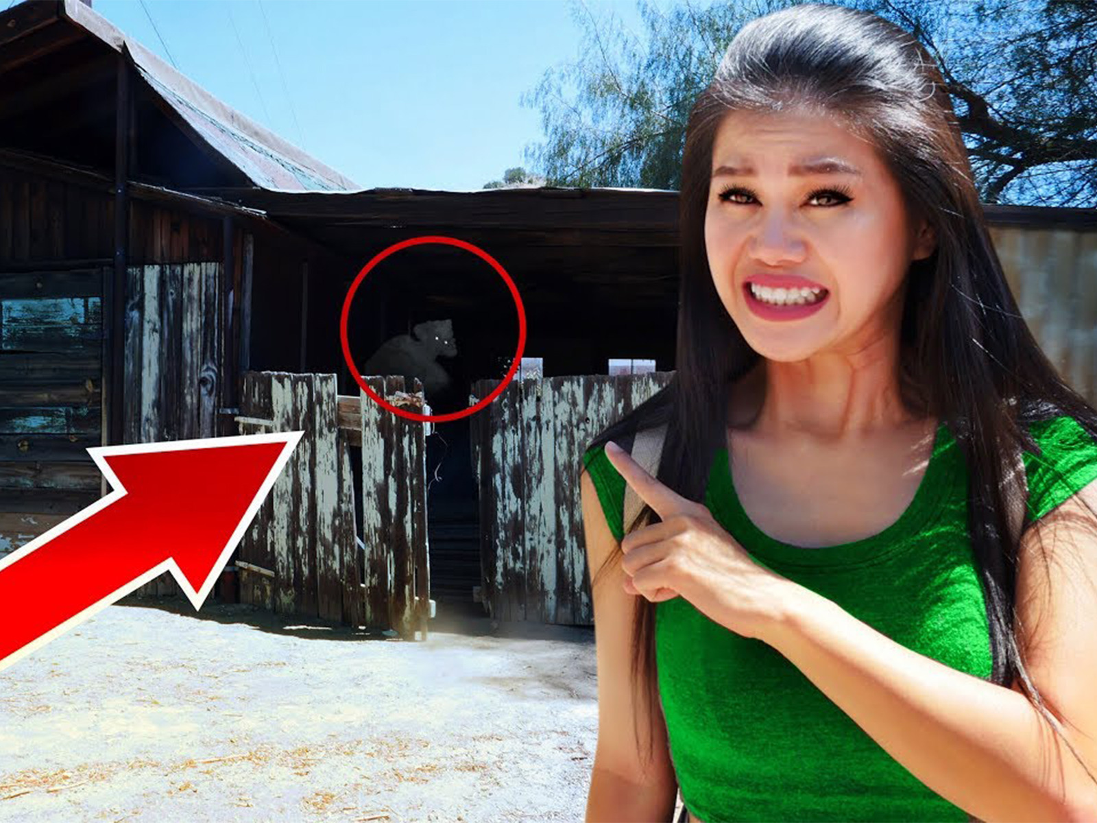 Prime Video: Spy Ninjas - Chad Wild Clay & Vy Qwaint