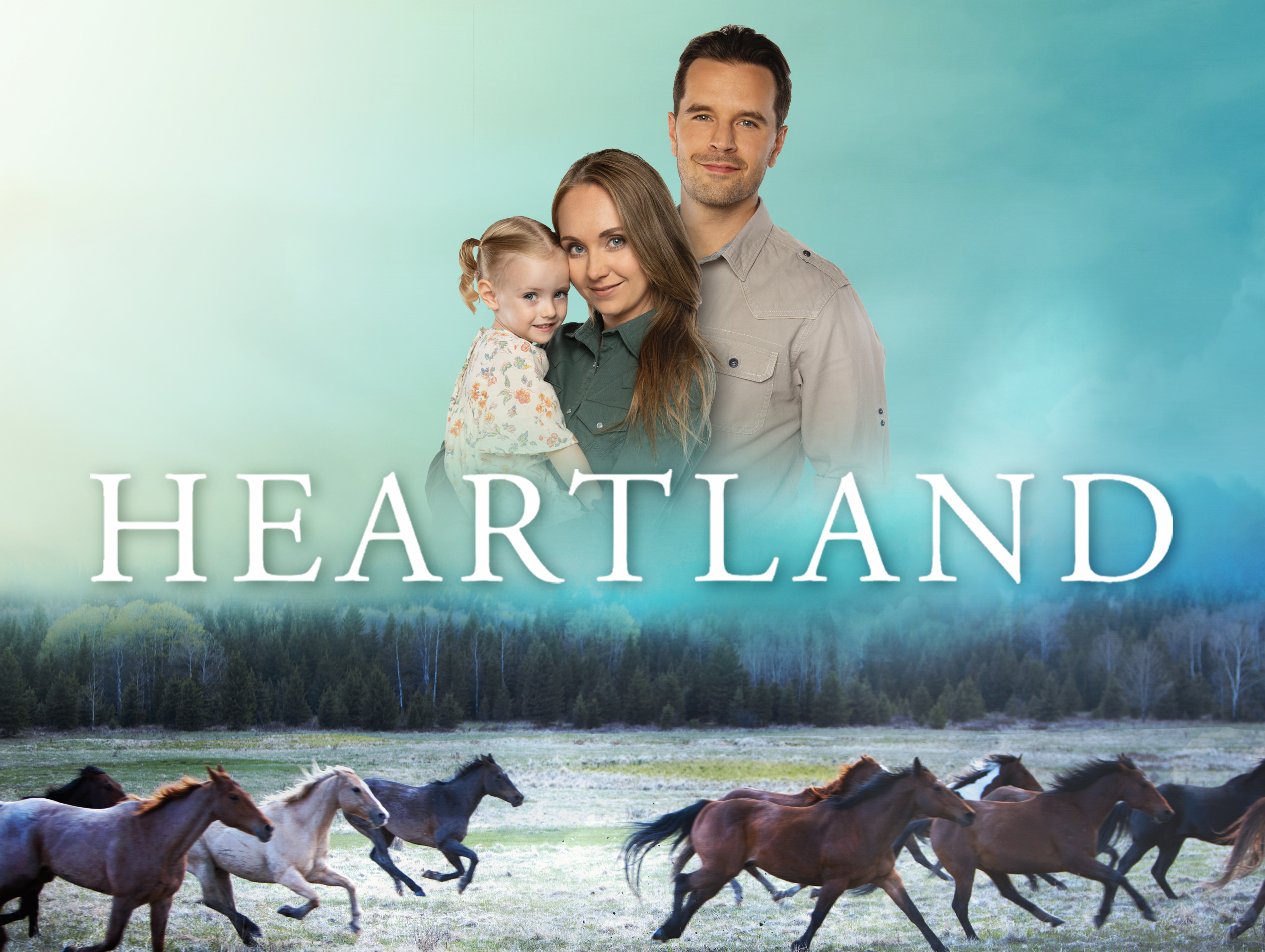Heartland Sugarfoot