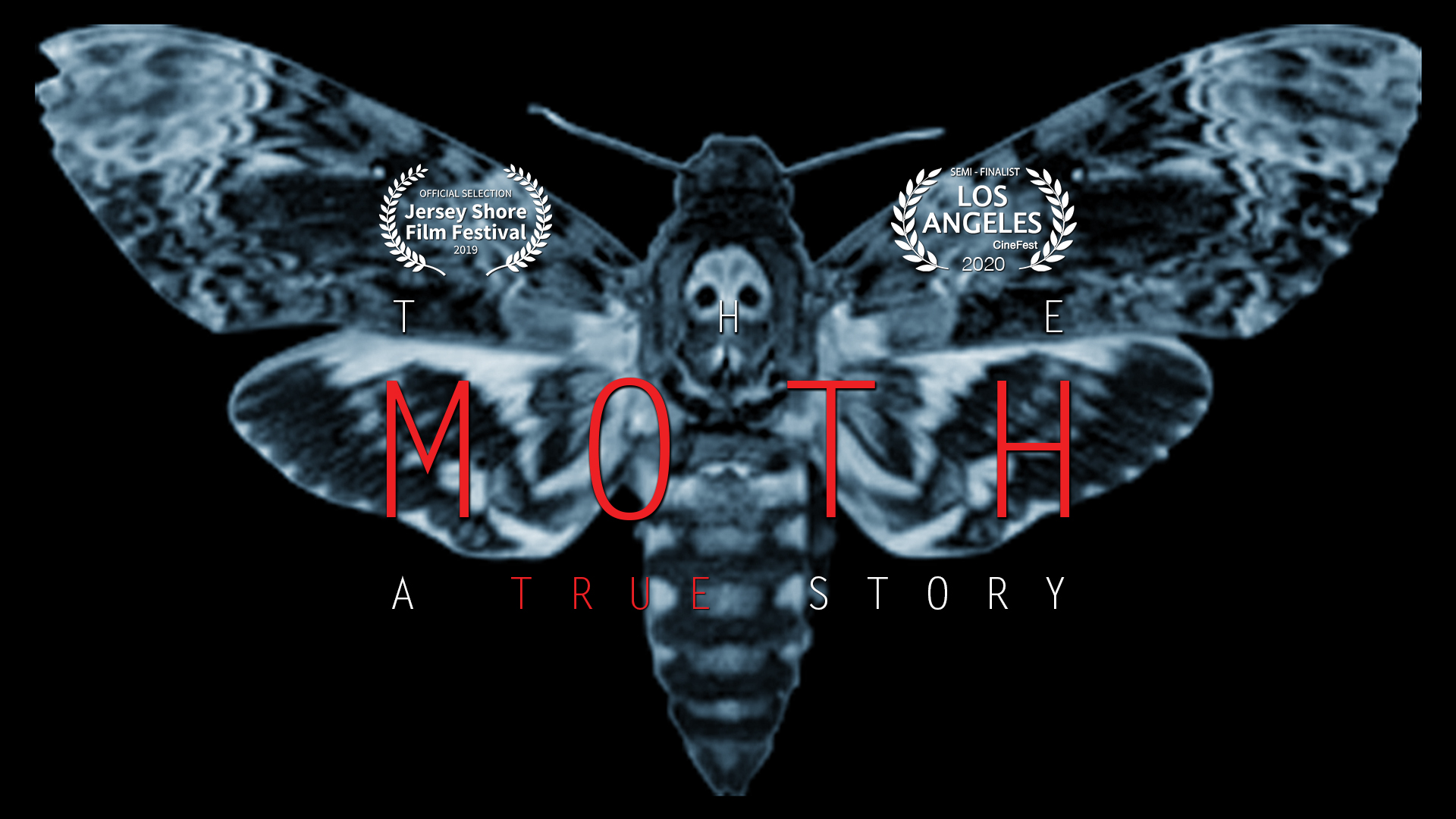 Watch The Moth | Prime Video