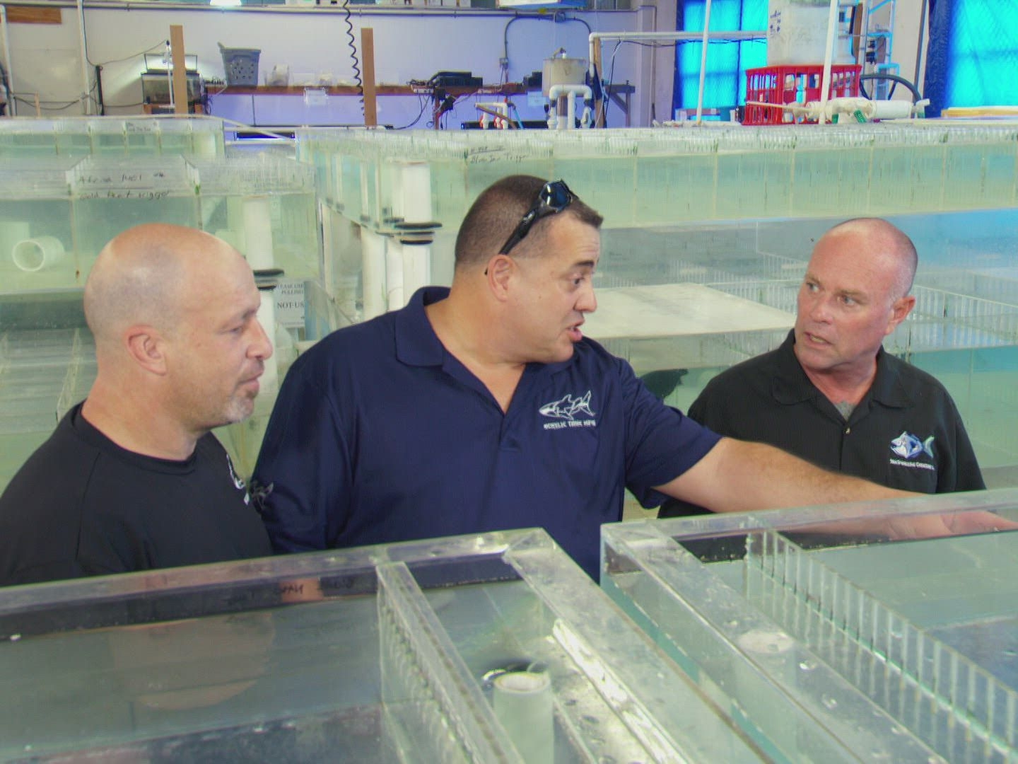 Prime Video: Tanked - Season 4