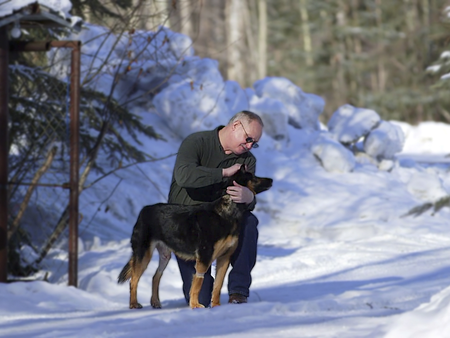 Prime Video: Dr. Dee: Alaska Vet - Season 2