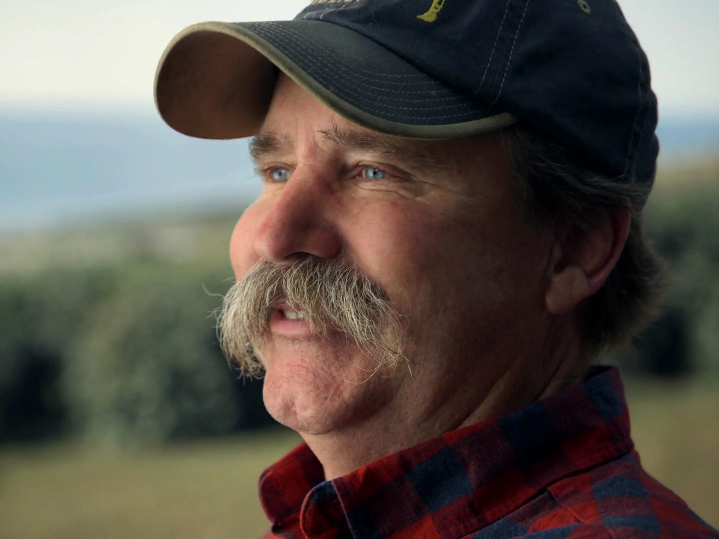 Prime Video: Bering Sea Gold - Season 7