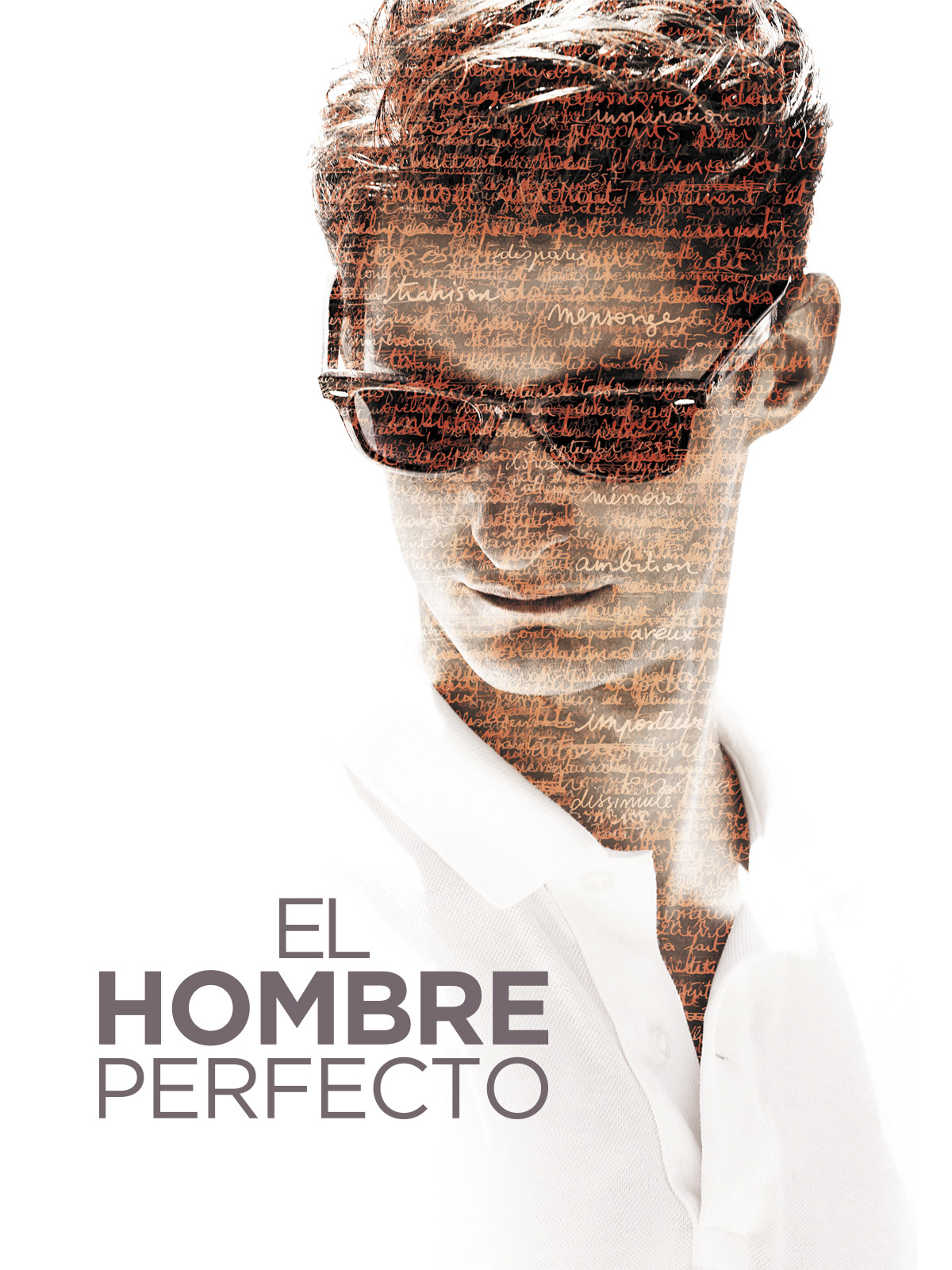 Prime Video: El hombre perfecto