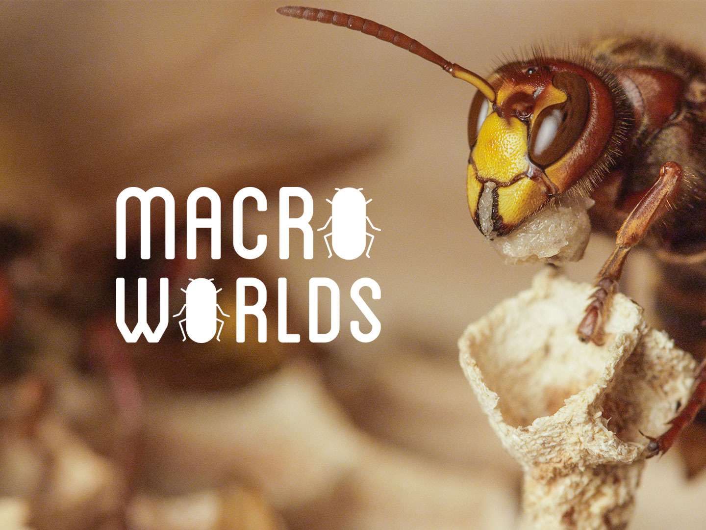 Prime Video: Macro Worlds