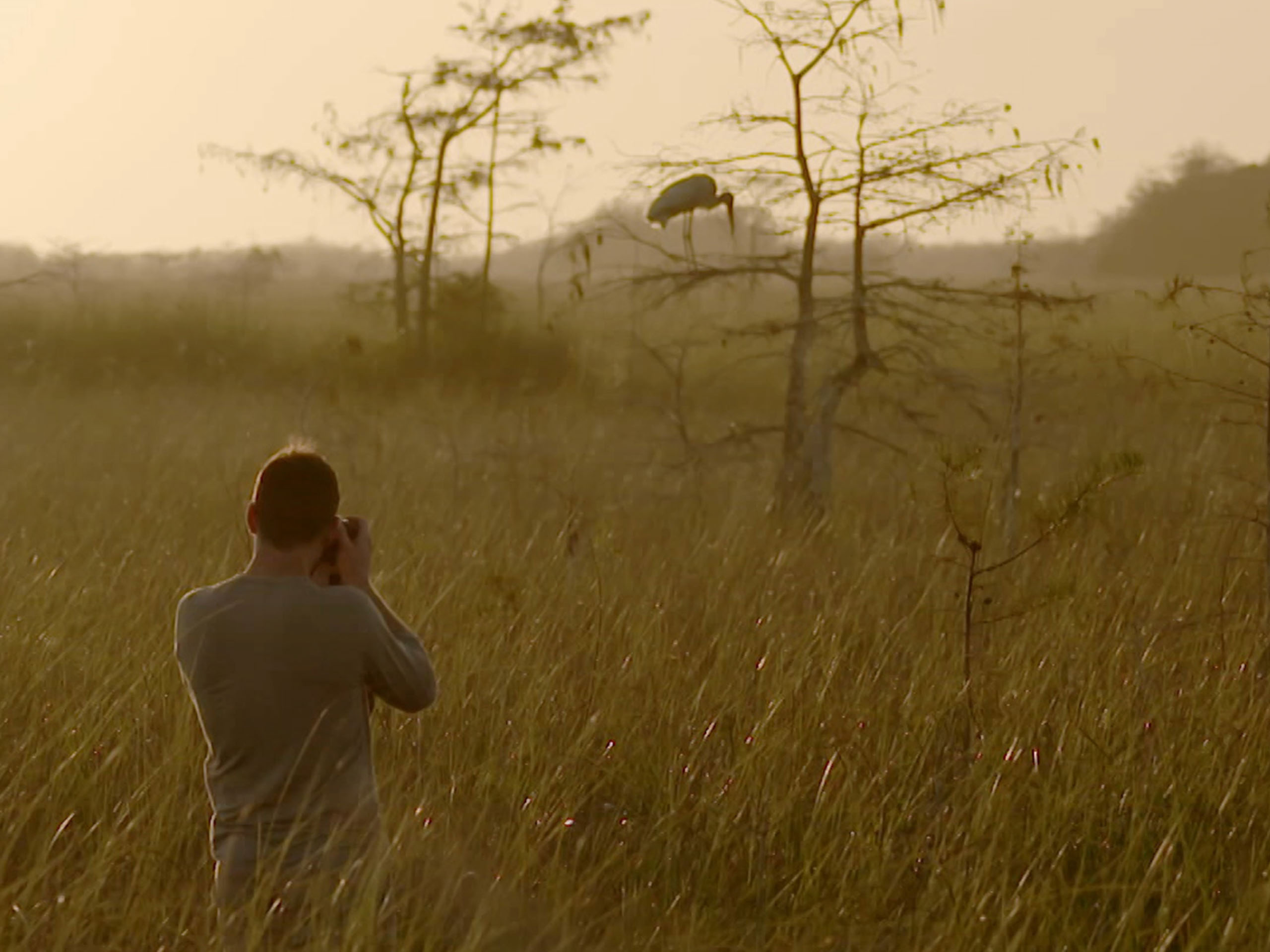 Prime Video: The Wonder List with Bill Weir - Season 1