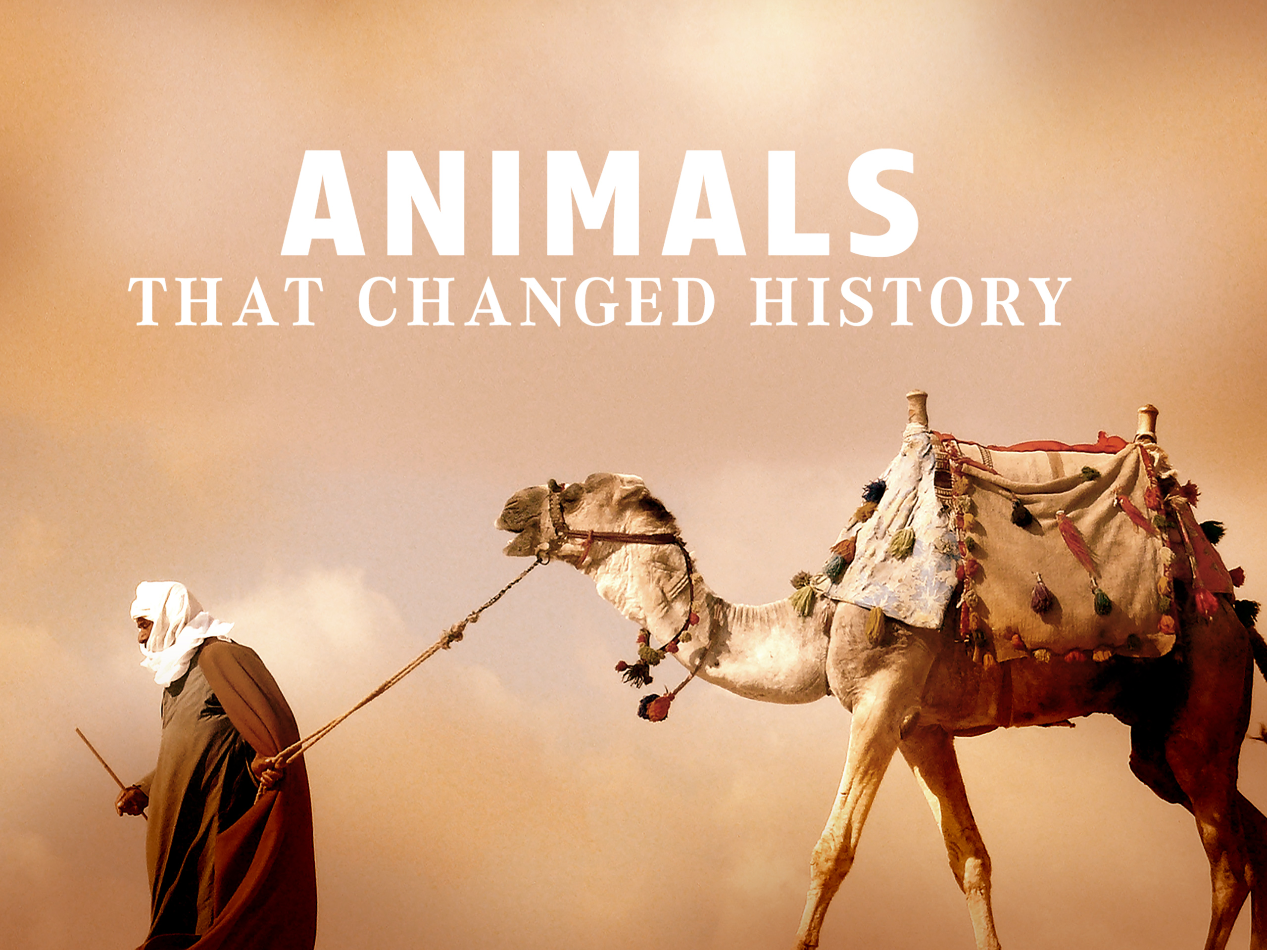 Prime Video: Animals that Changed History