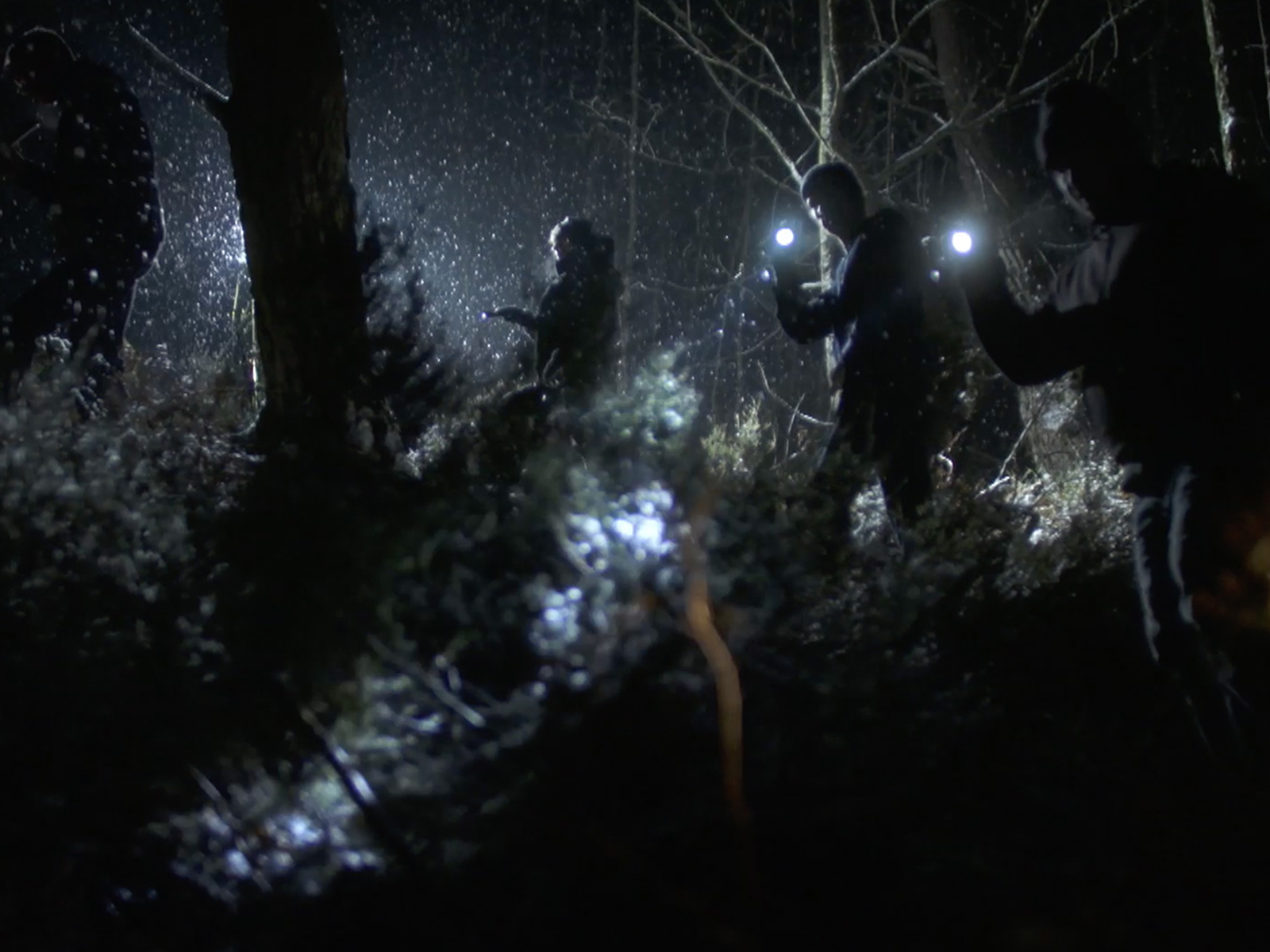 Prime Video: The Case