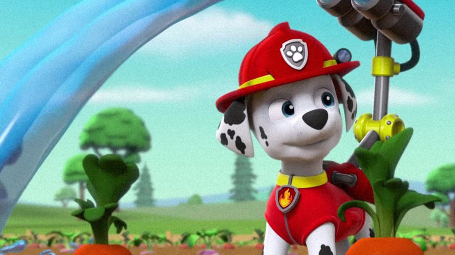 Prime Video: PAW Patrol - Volume 6
