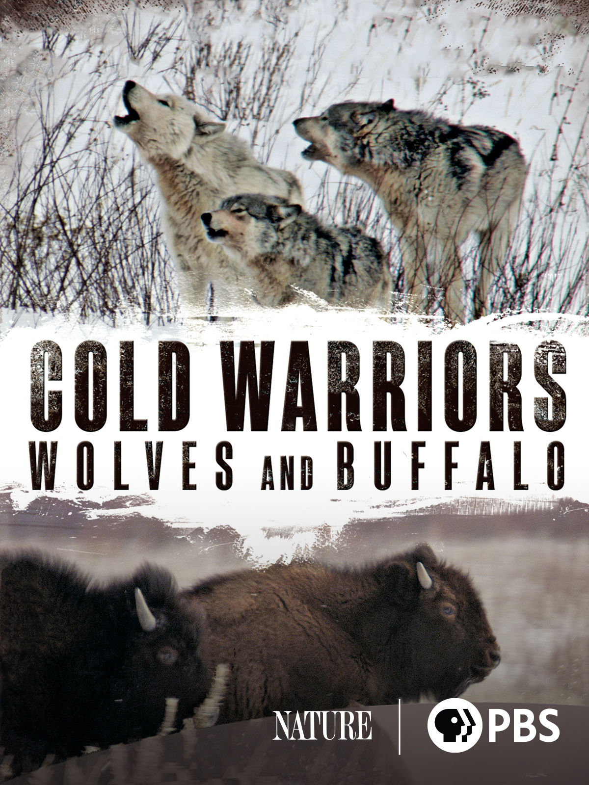 Prime Video: Cold Warriors: Wolves and Buffalo