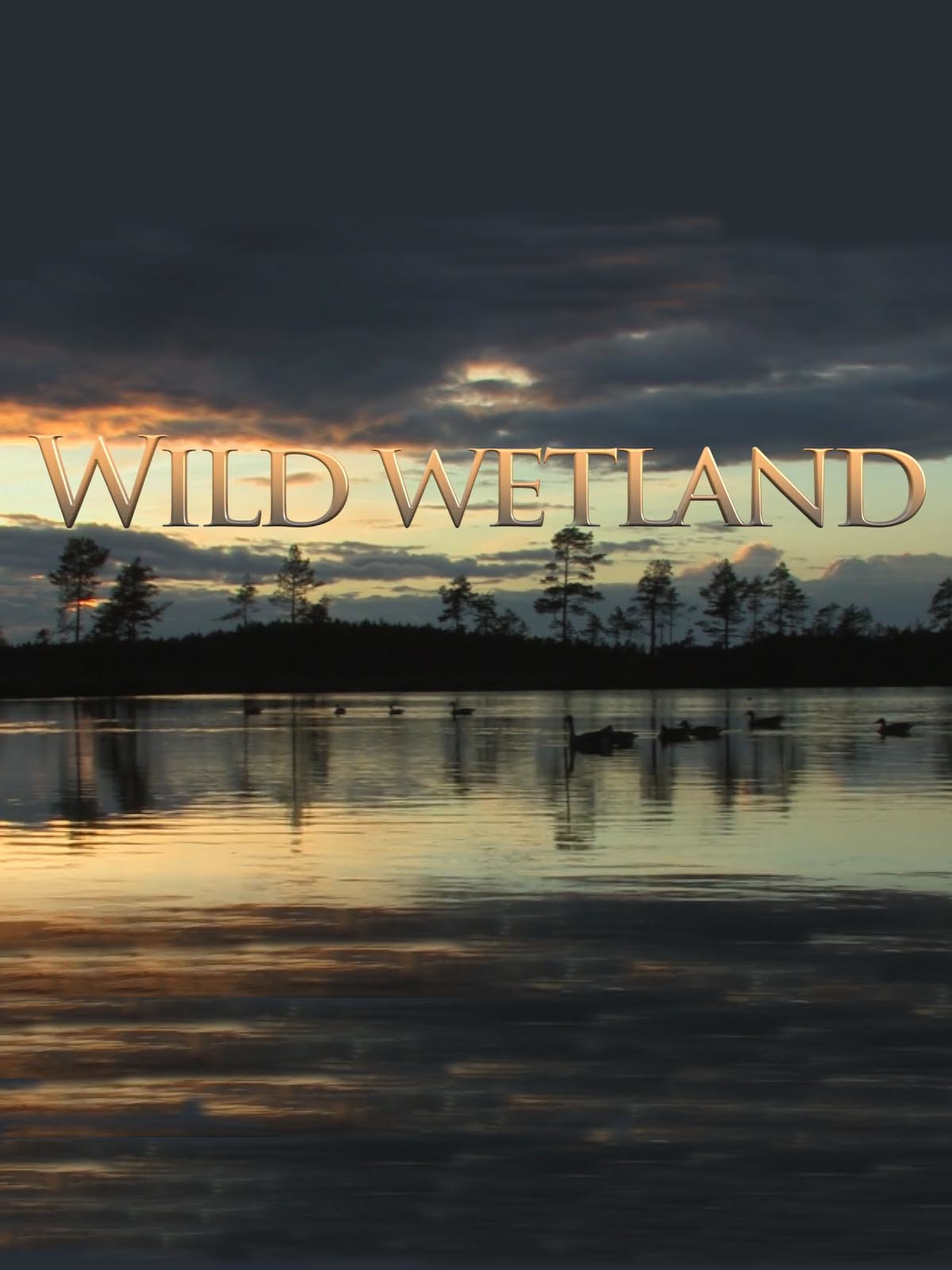 Prime Video: Wild Wetlands