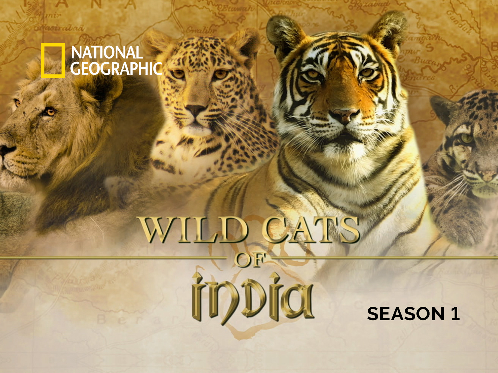 Prime Video: Wild Cats of India - Season 1