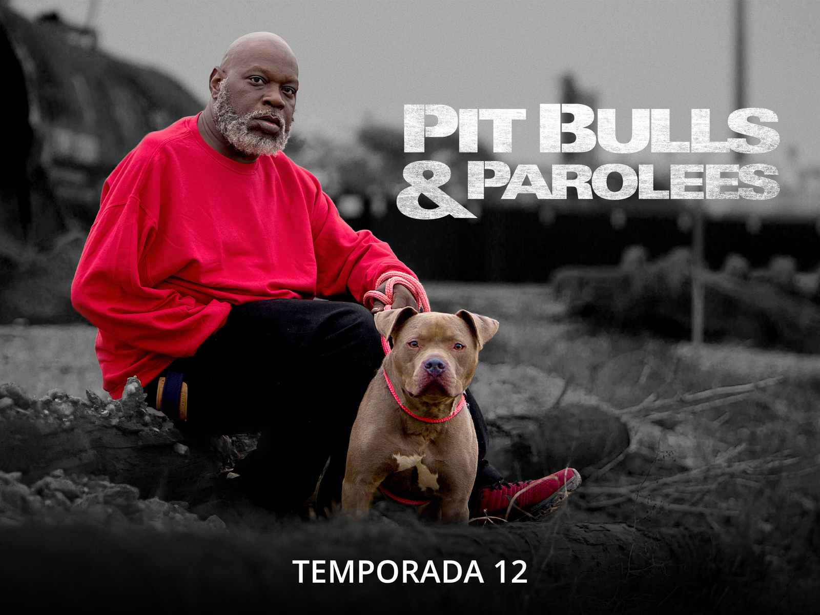 Prime Video: Pit Bulls e Condenados - Season 18