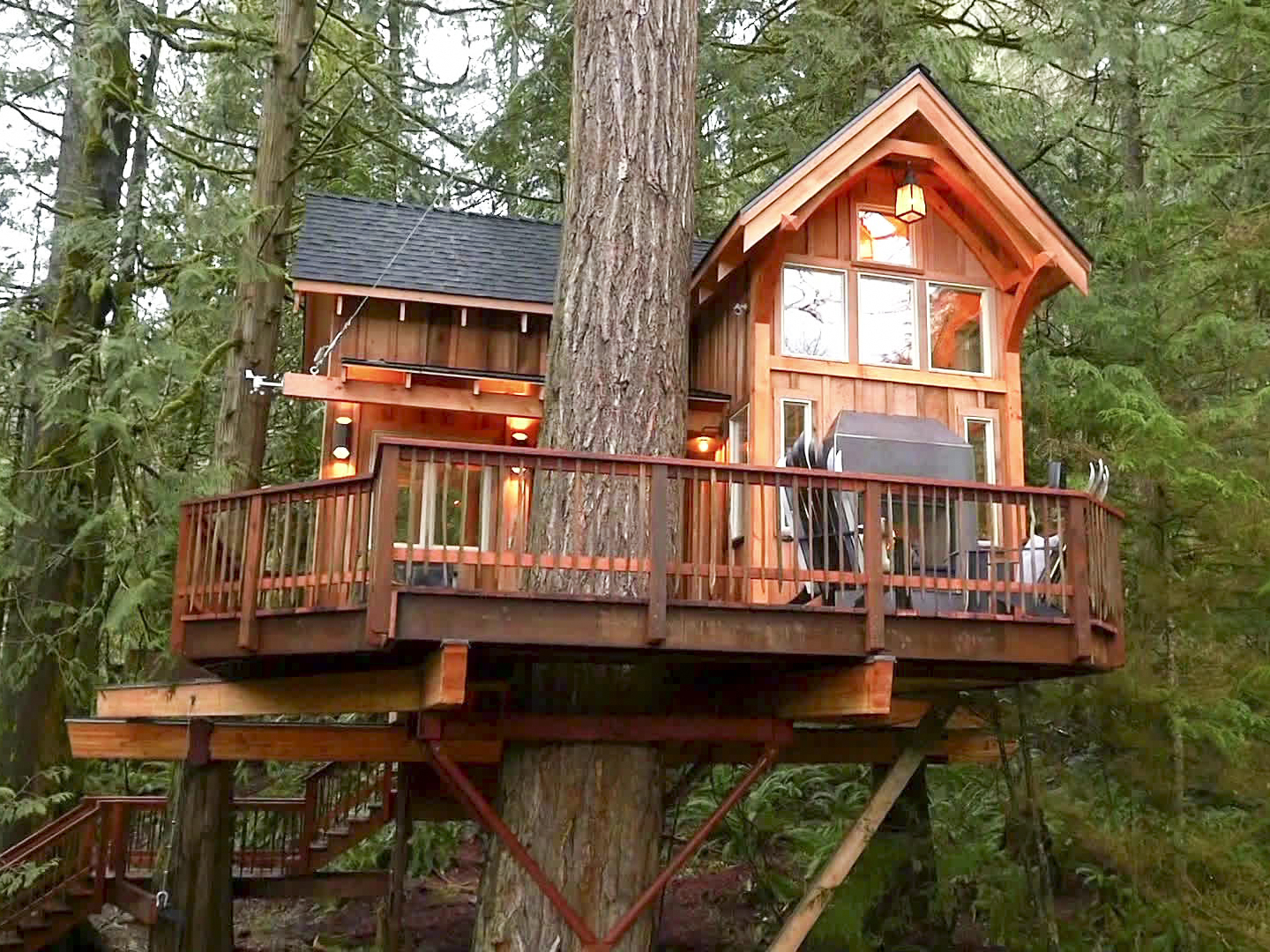 Prime Video: Treehouse Masters - Season 5