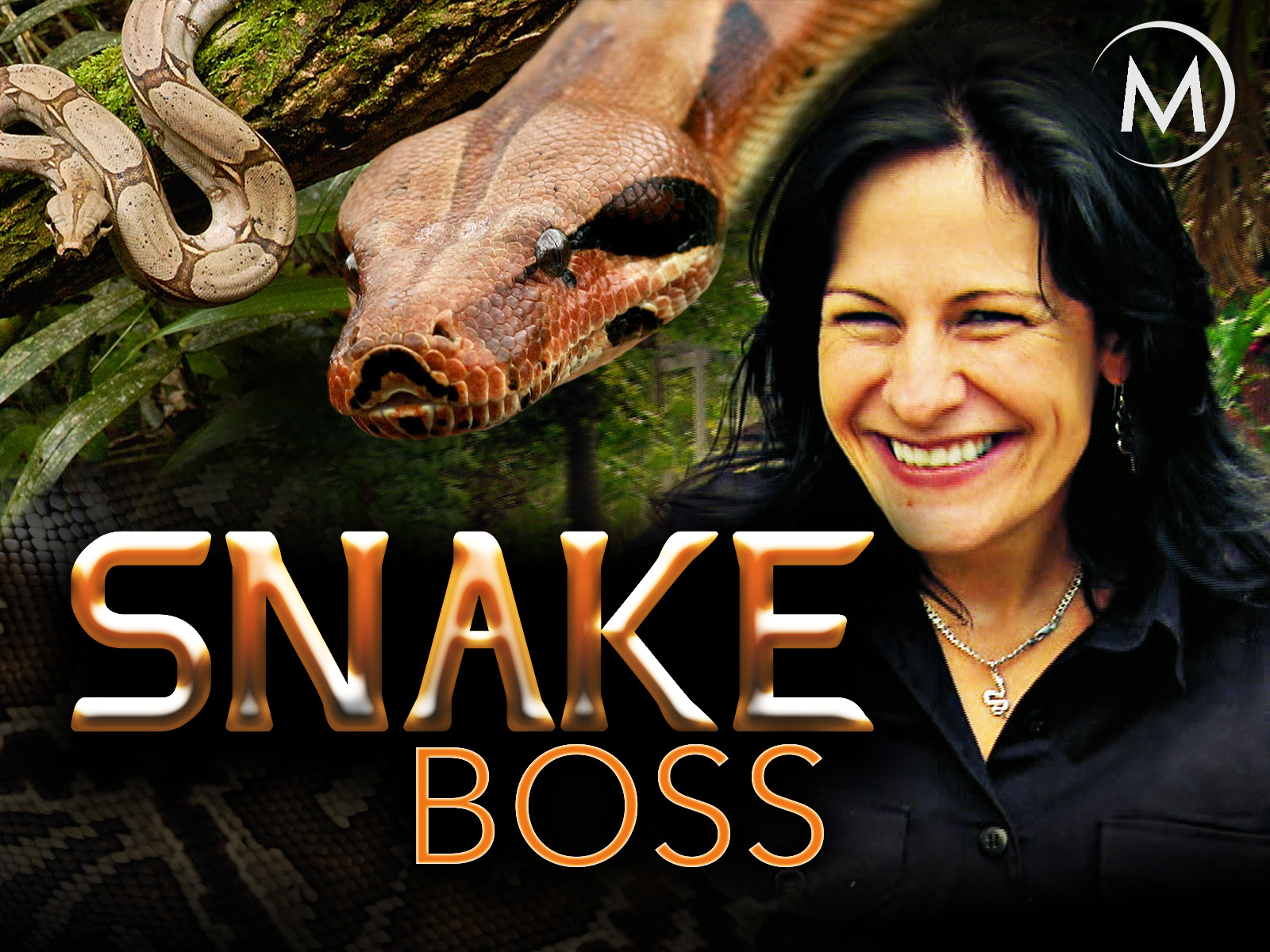 Prime Video: Snake Boss