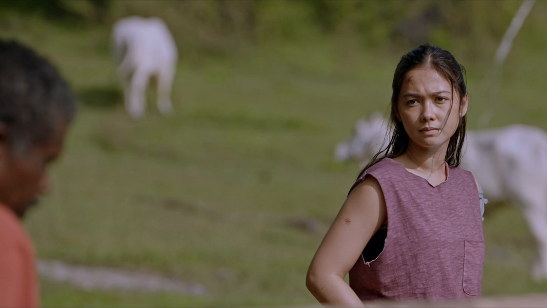 Prime Video: Arisaka