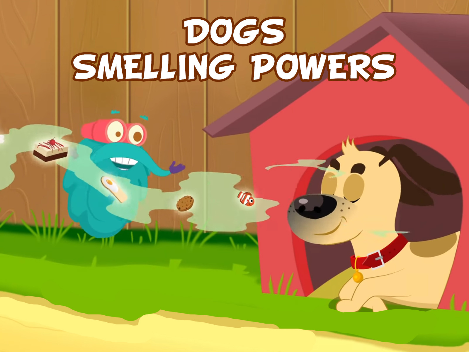 Prime Video: The Dr. Binocs Show