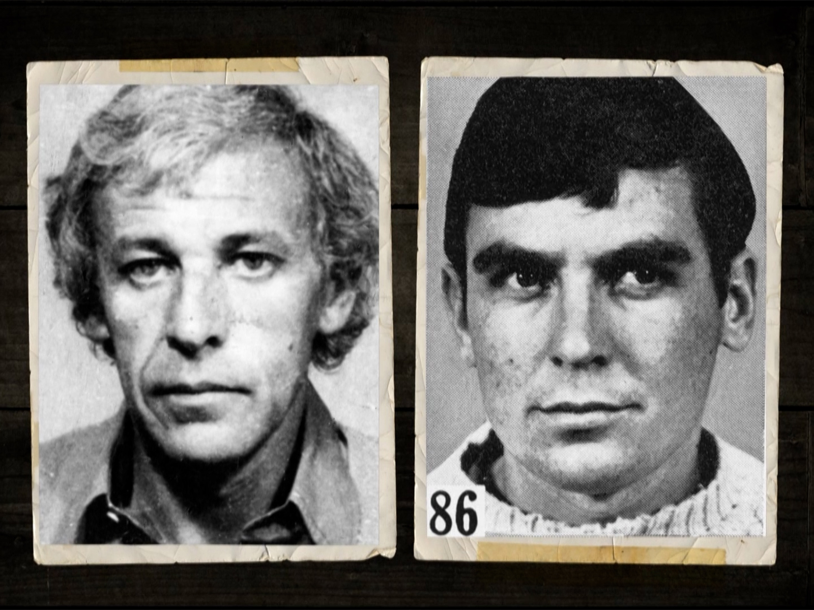 Prime Video: Suburban Gangsters