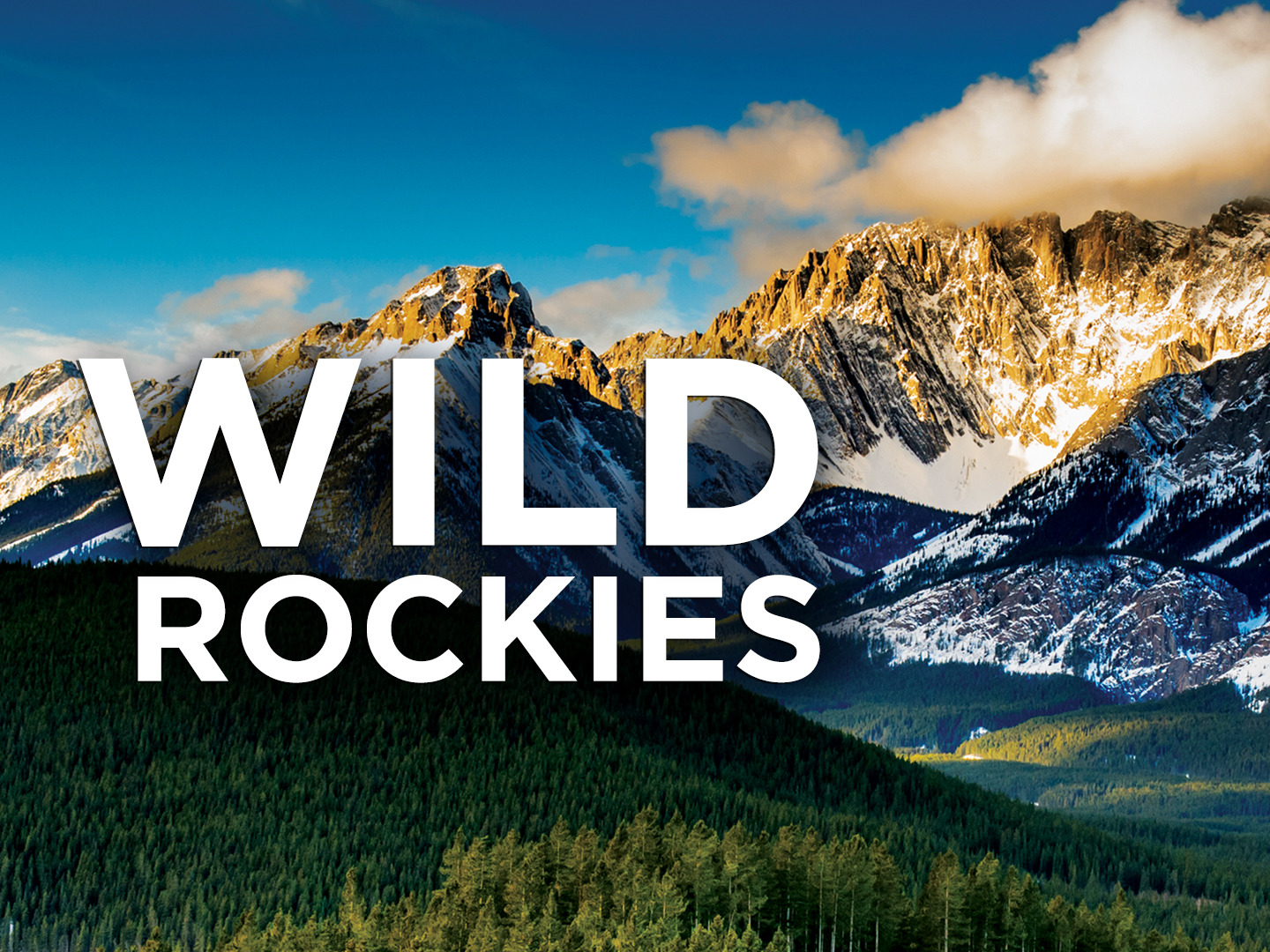 Prime Video: Wild Rockies