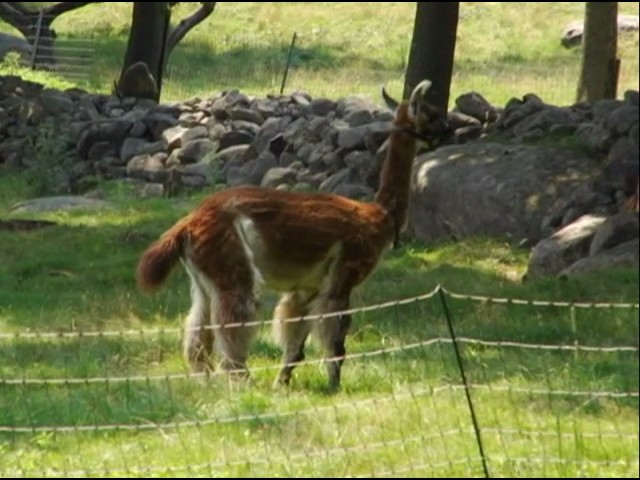 Prime Video: Fetch! With Ruff Ruffman Season 3