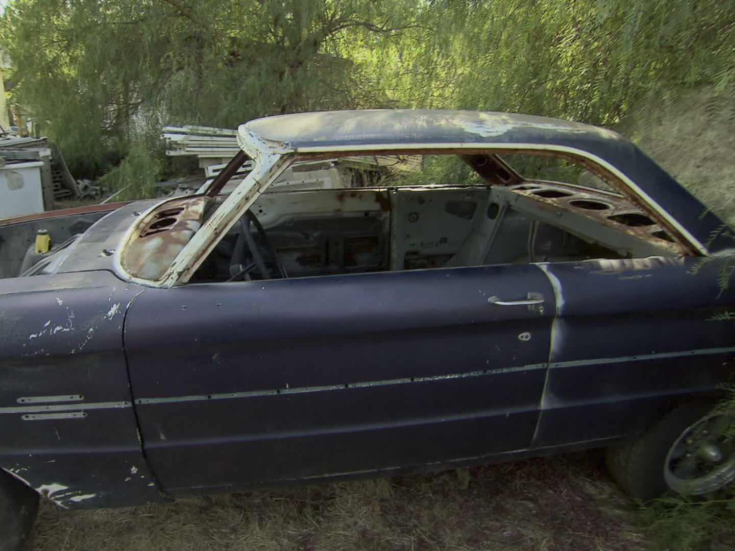 Prime Video: Rods N' Wheels - Season 1