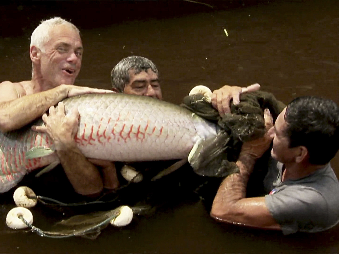 Prime Video: Monstros do Rio - Season 1