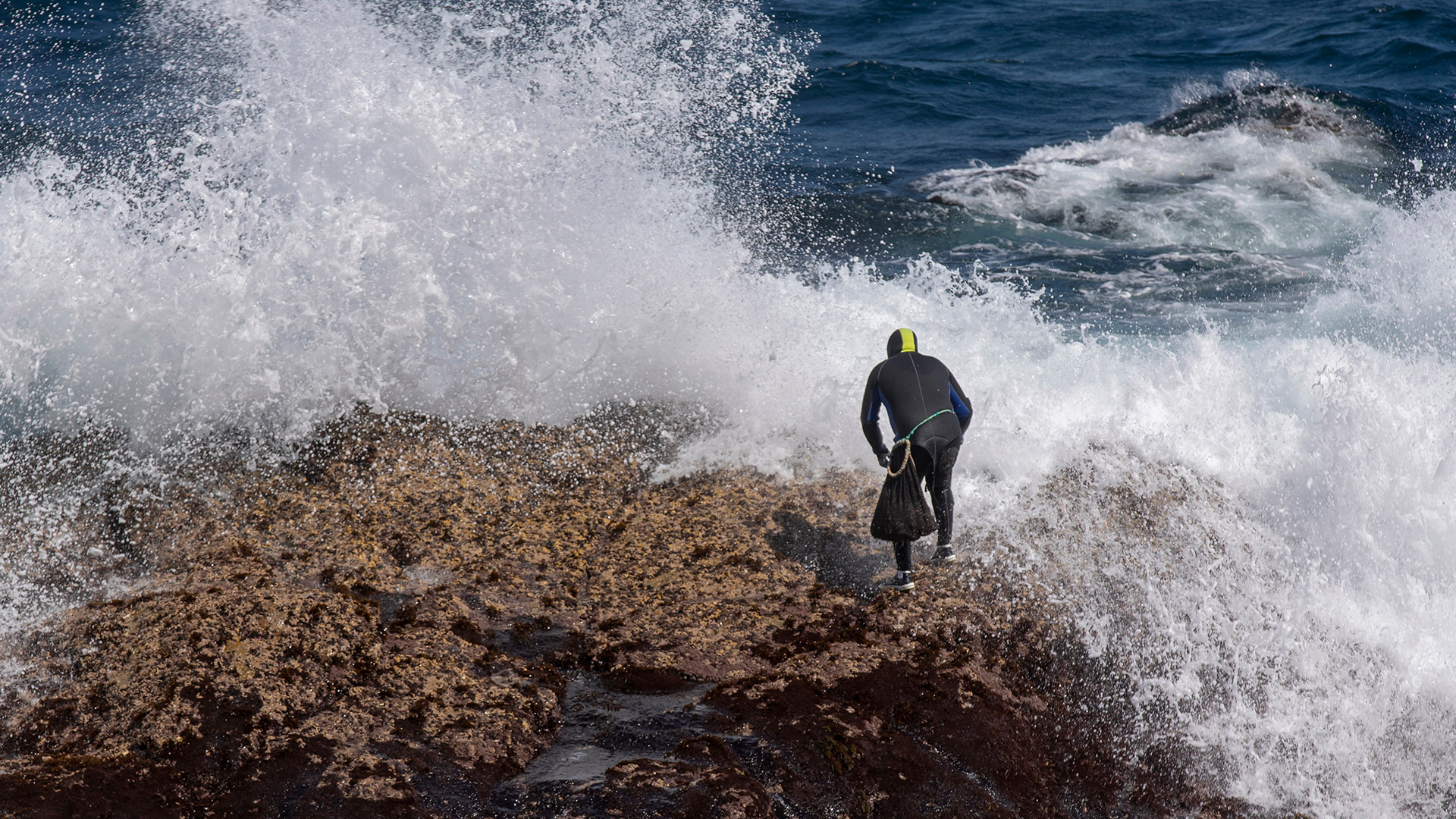 Percebeiros