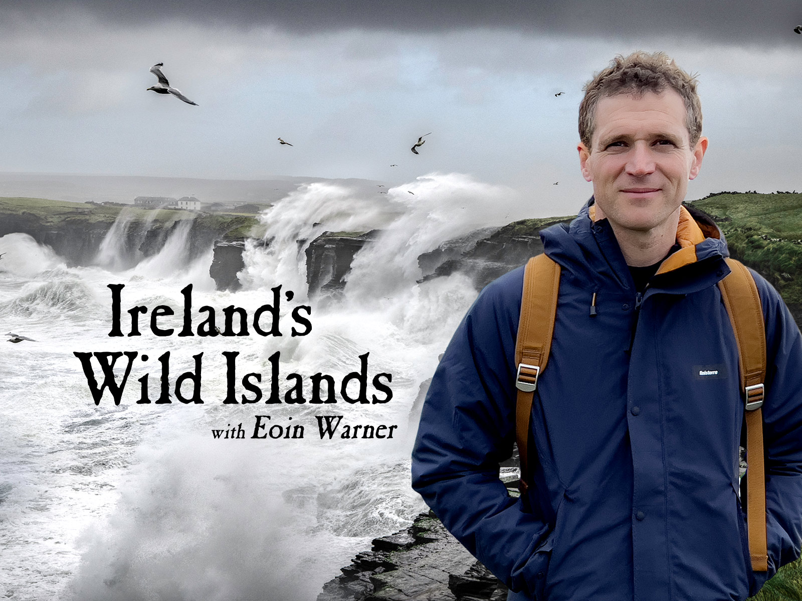 Prime Video: Irelands Wild Islands With Eoin Warner