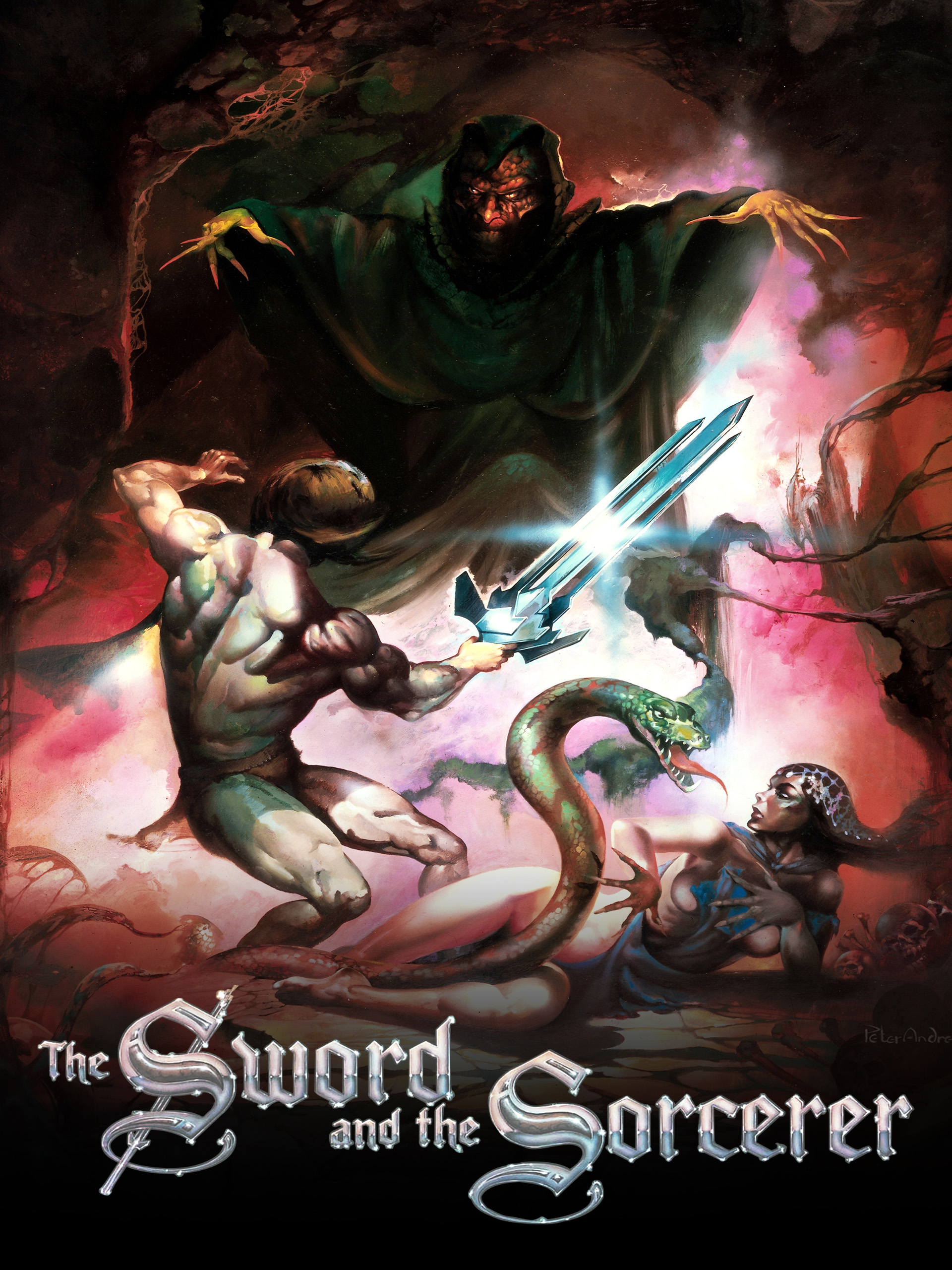 Prime Video: The Sword And The Sorcerer
