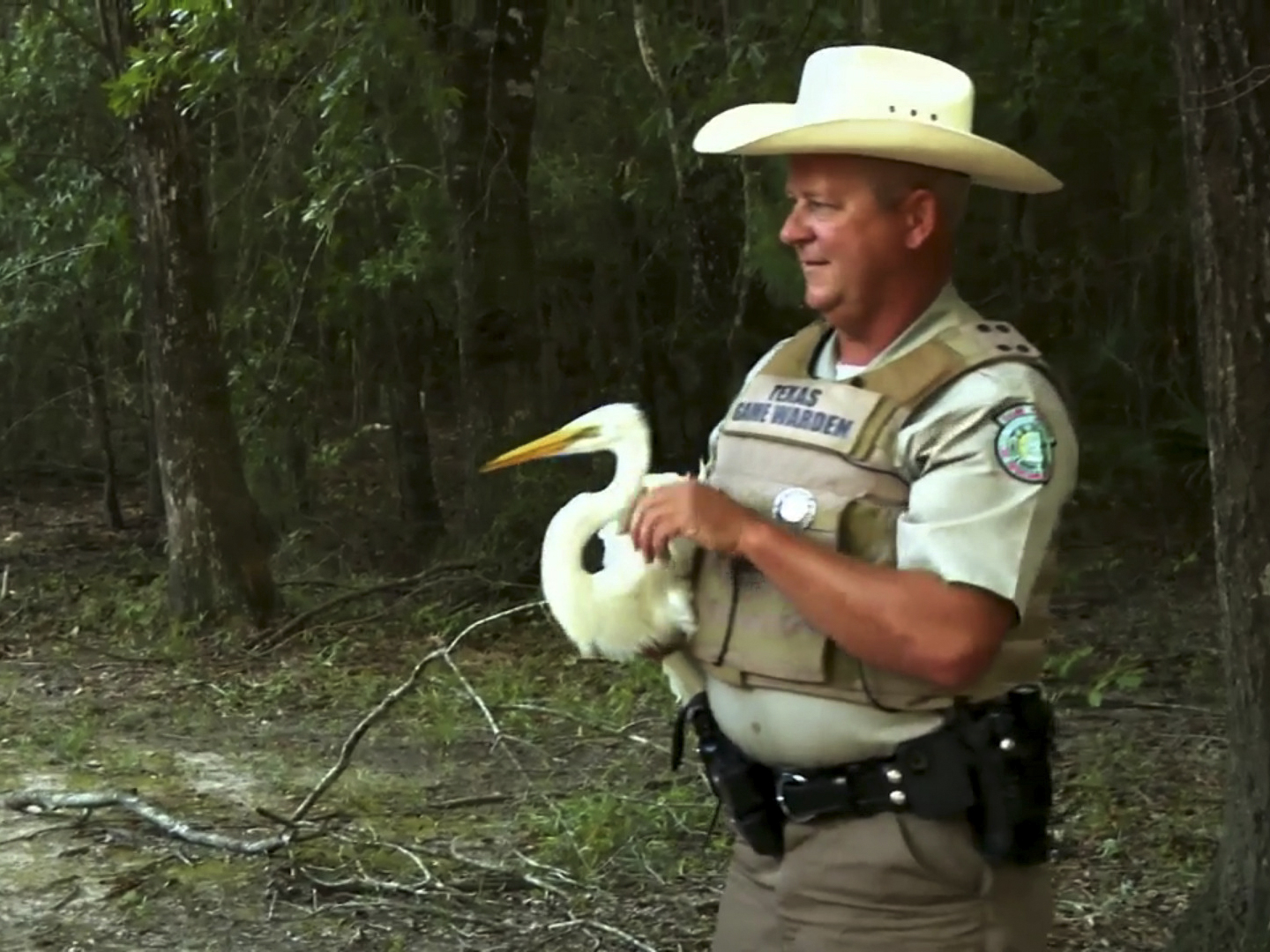Prime Video: Lone Star Law - Season 4