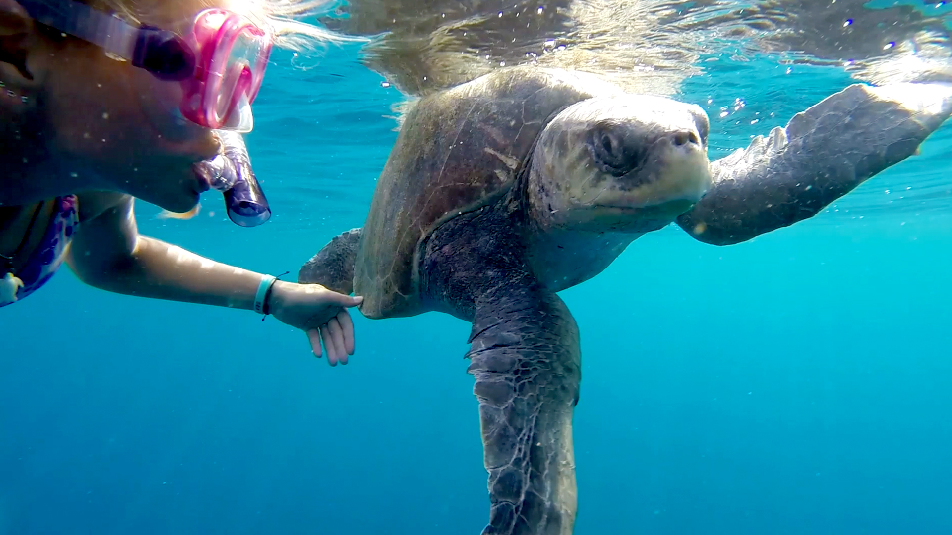 Watch Straws | Prime Video