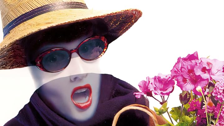 Prime Video: Invisible Mom II