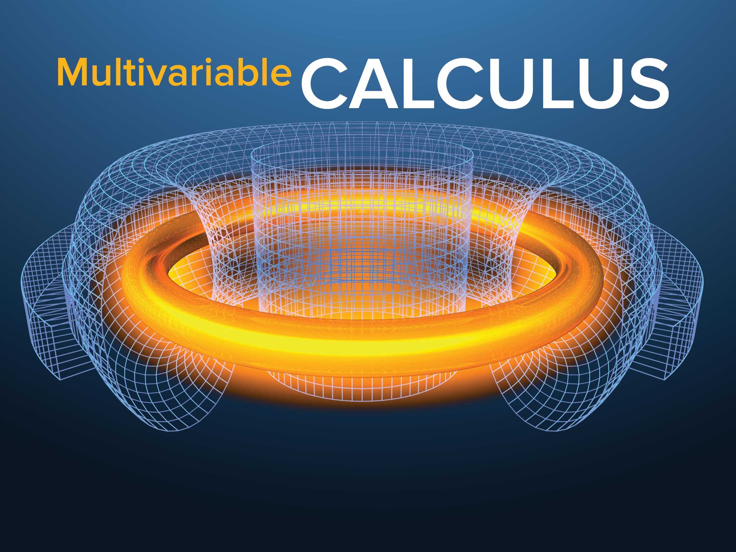 Prime Video: Understanding Multivariable Calculus: Problems, Solutions ...