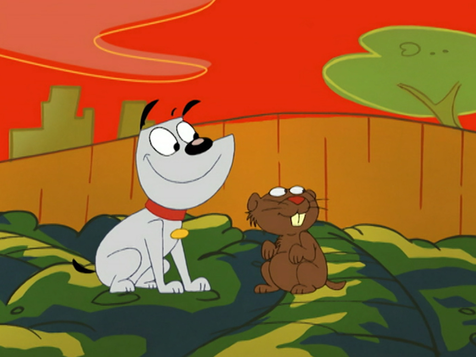 Prime Video: Poochini