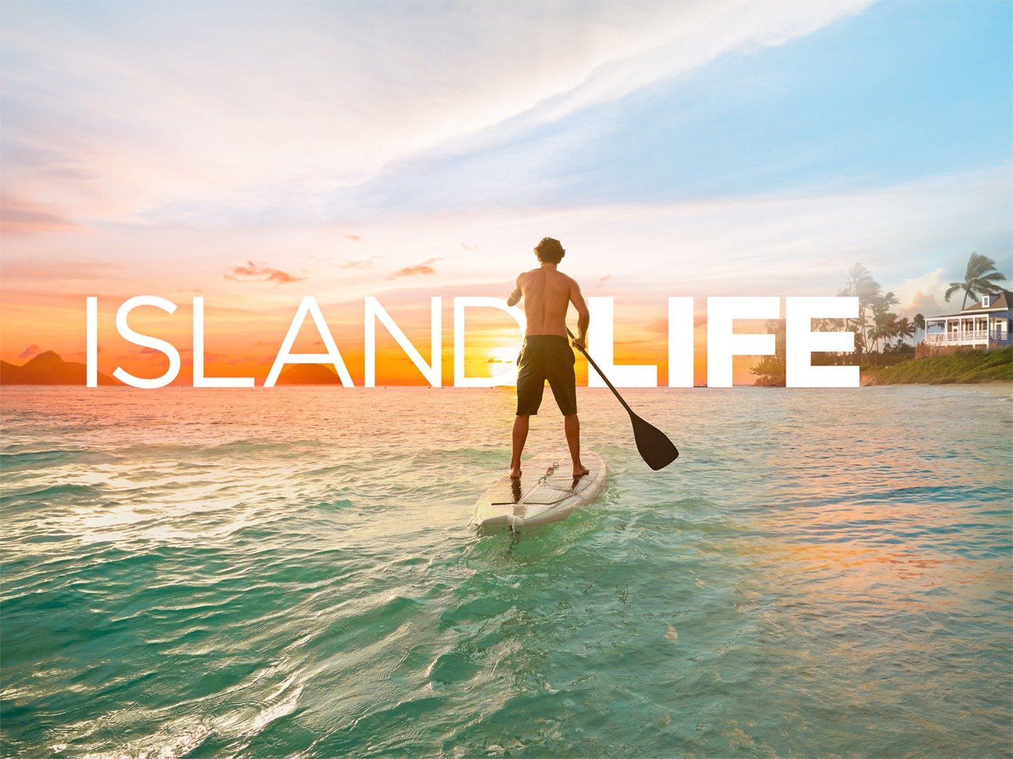 Prime Video: Season 20