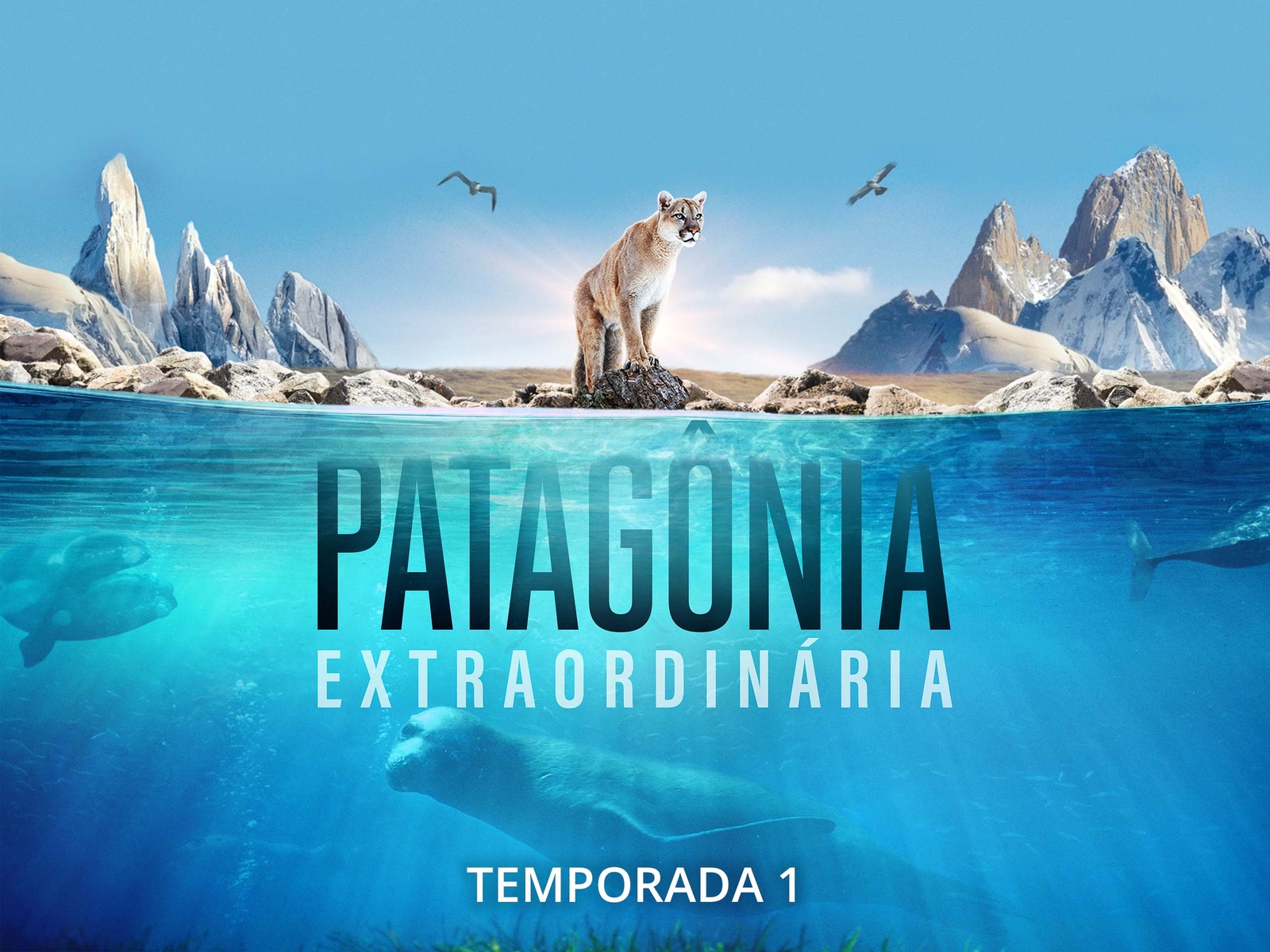 Prime Video: Patagônia Extraordinária - Season 1