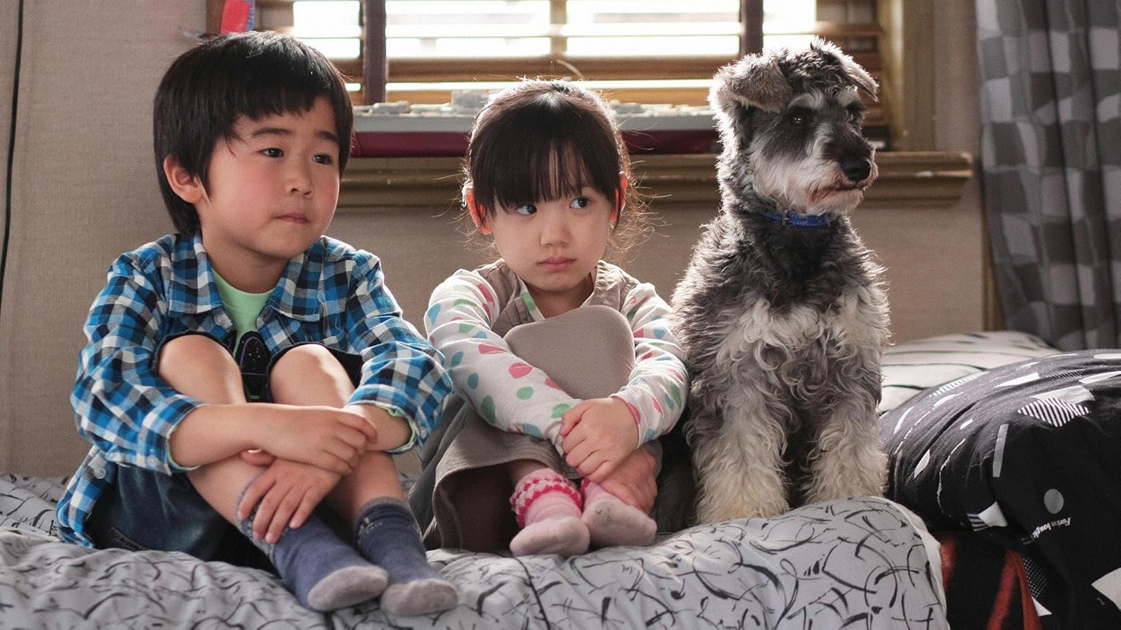 Amazon.co.jp: マルモのおきてを観る | Prime Video