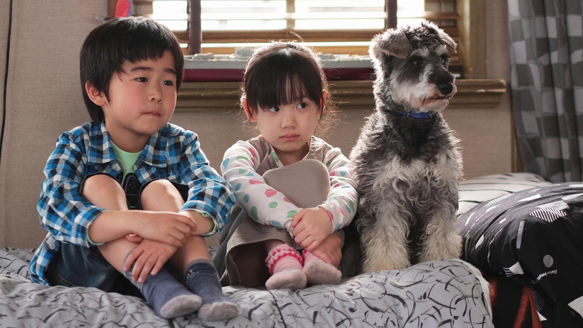 Amazon.co.jp: マルモのおきてを観る | Prime Video