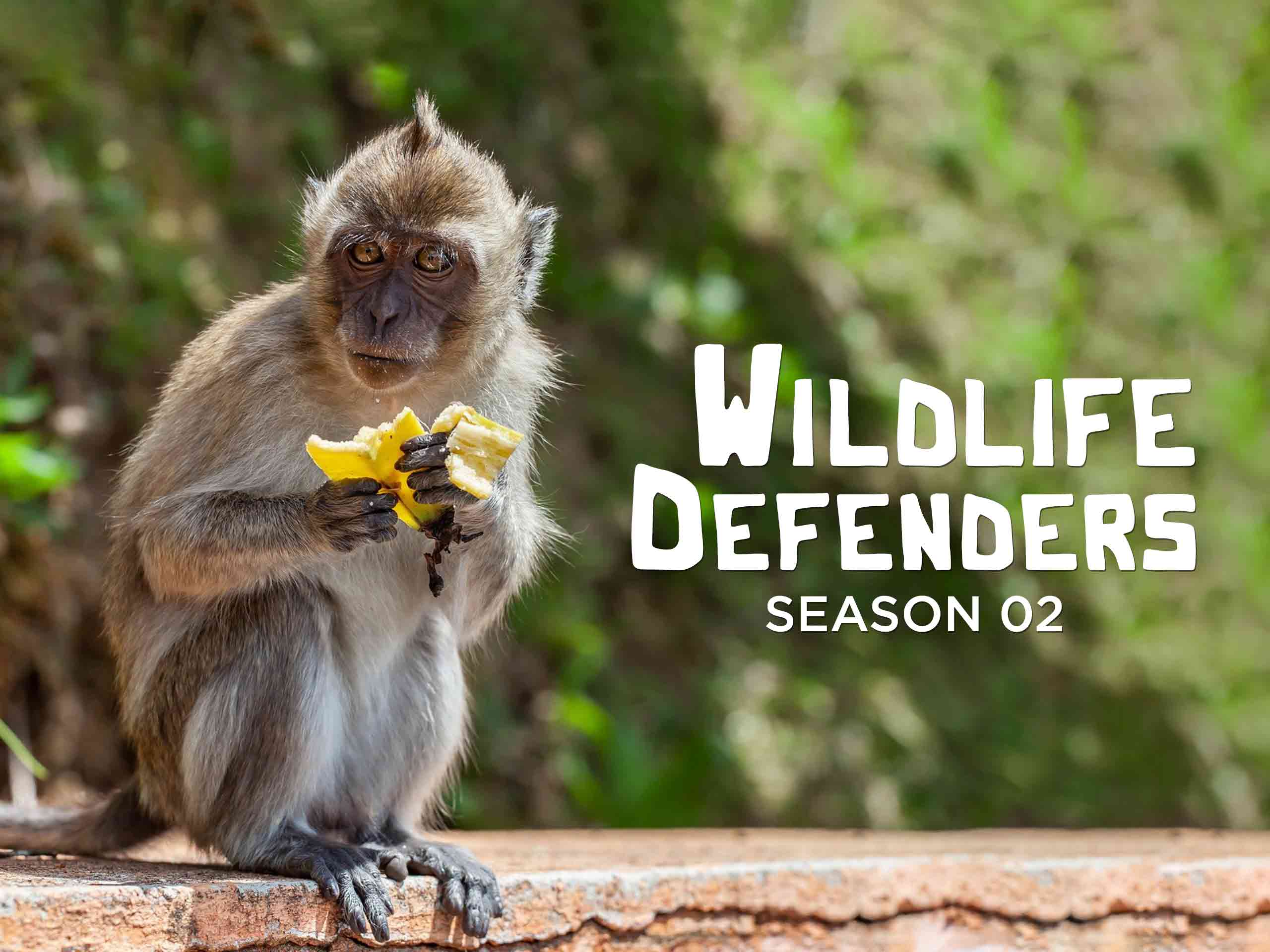 Prime Video: S2. Wildlife Defenders