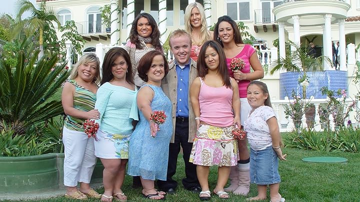 Amazon.com: The Littlest Groom : Dani Behr, Scott Messick: Prime Video