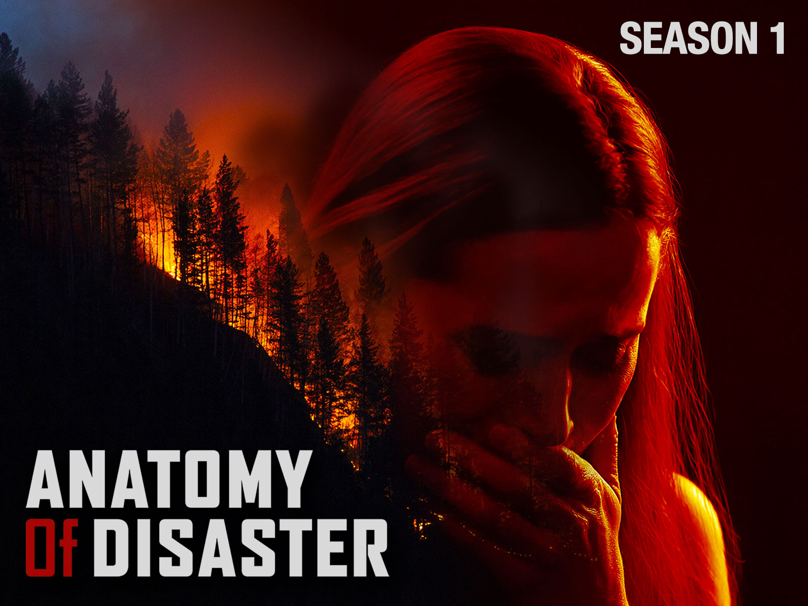 Prime Video: Anatomy of Disaster