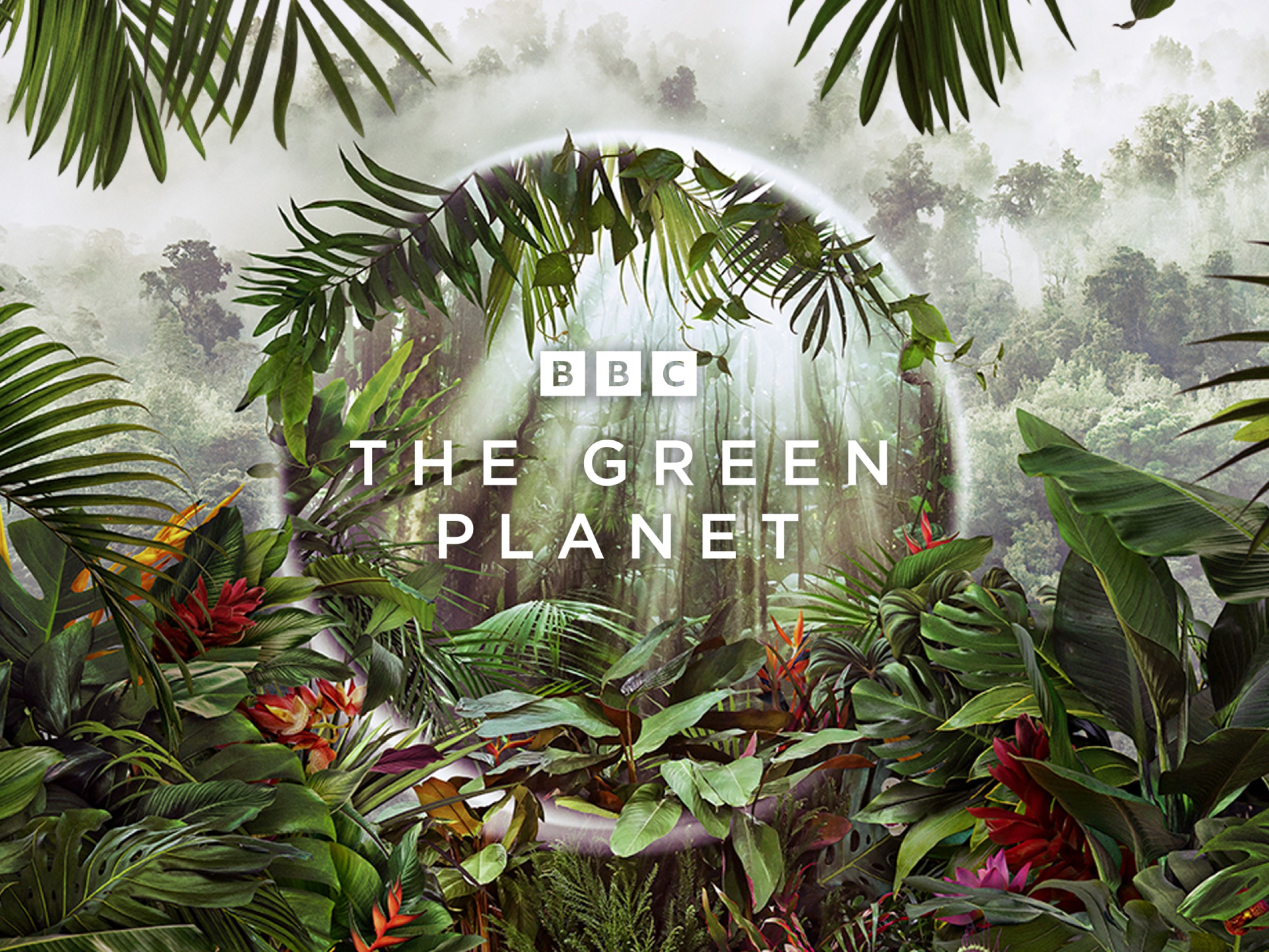 Prime Video: The Green Planet