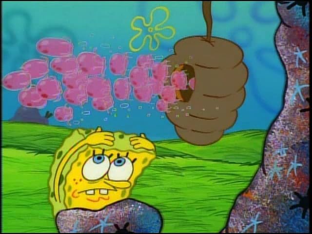 Watch SpongeBob SquarePants Season 1 | Prime Video