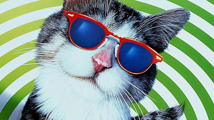 Watch That Darn Cat (1997) | Prime Video