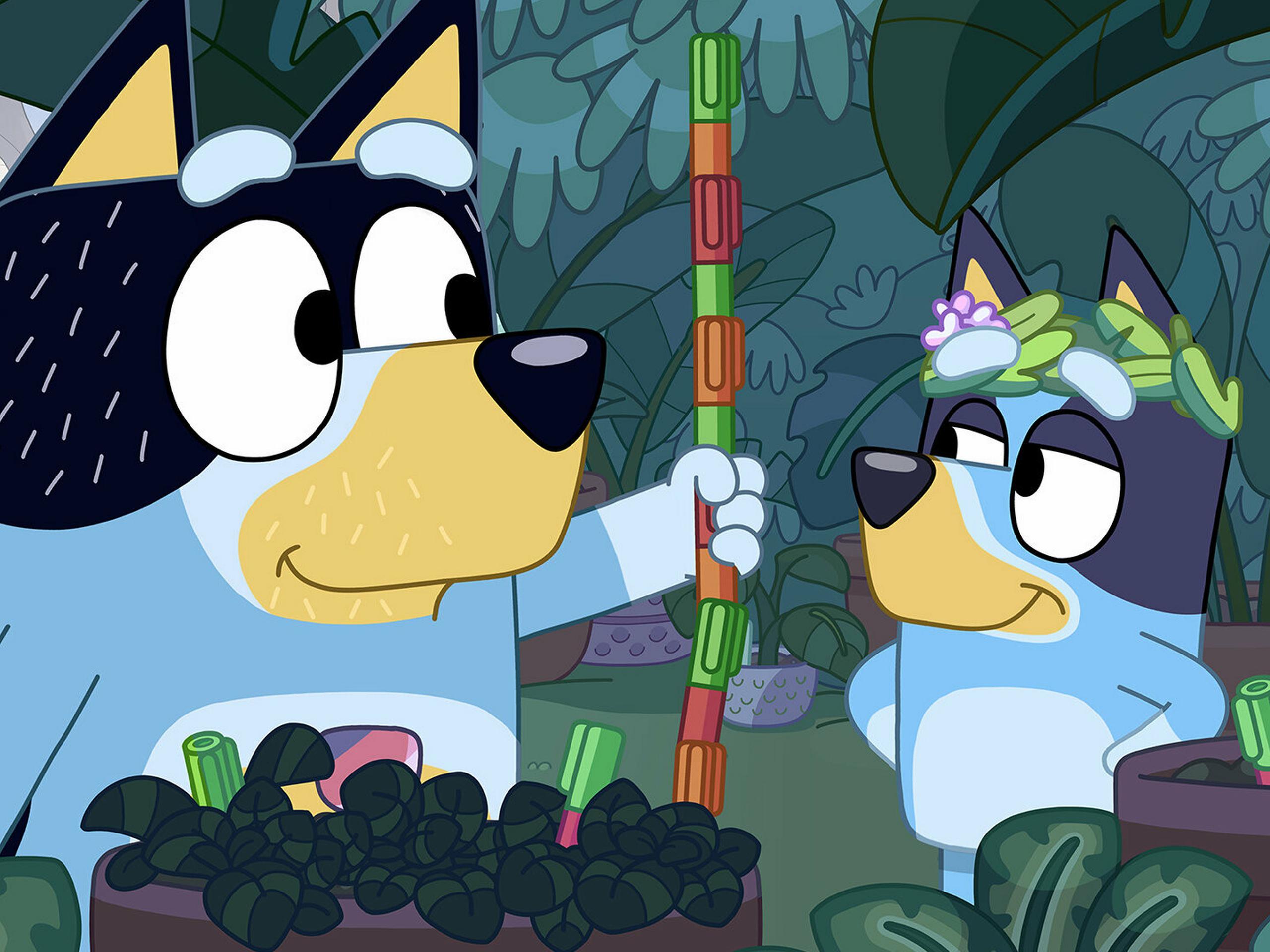 Prime Video: Bluey - Saison 2