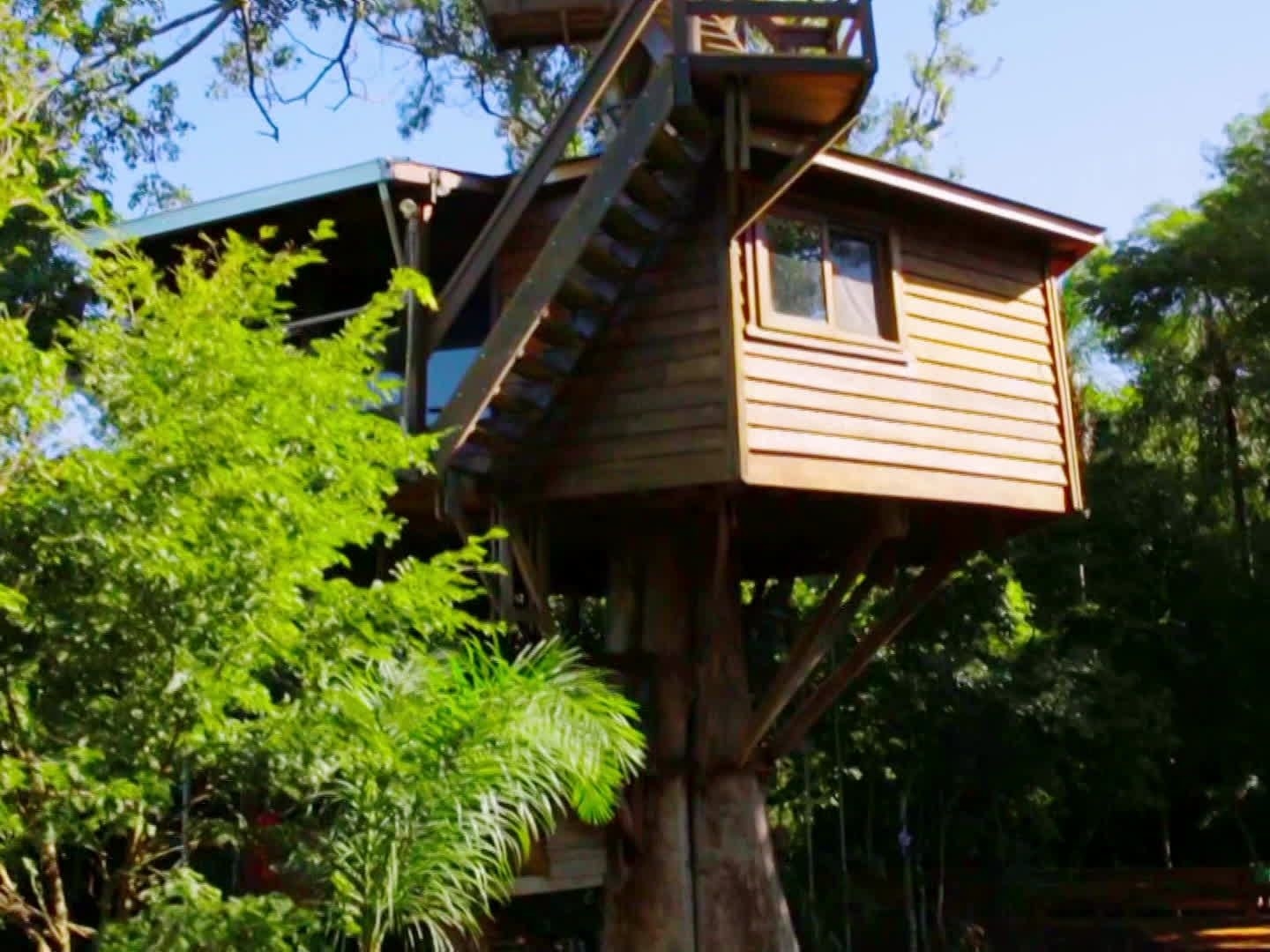 Prime Video: Treehouse Masters - Season 3
