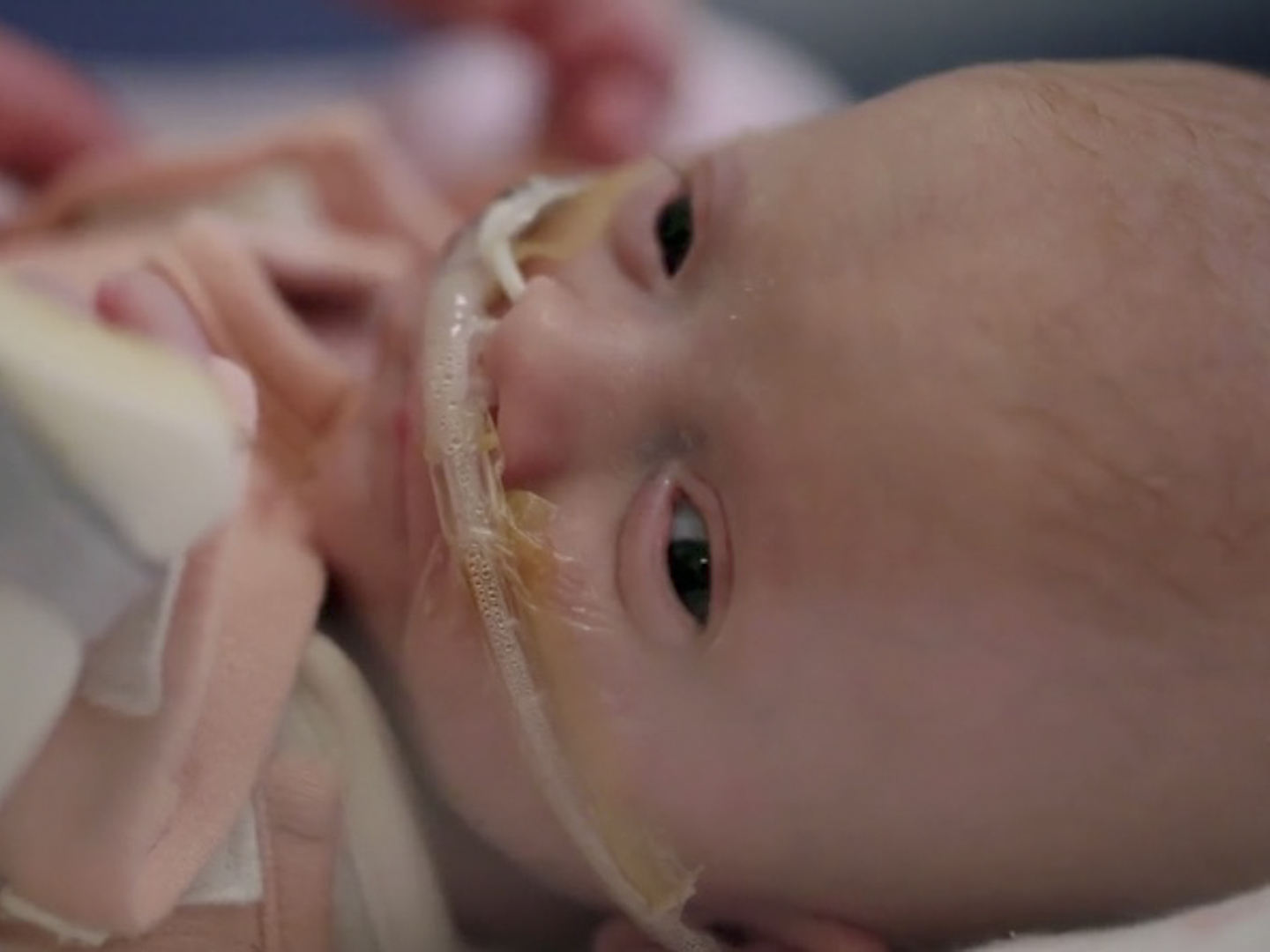 Prime Video: Life and Birth - Season 1