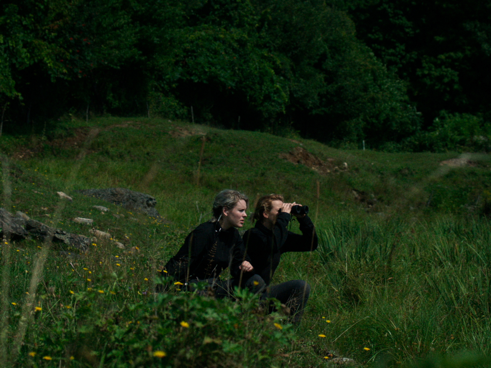 Prime Video: Blue Moon