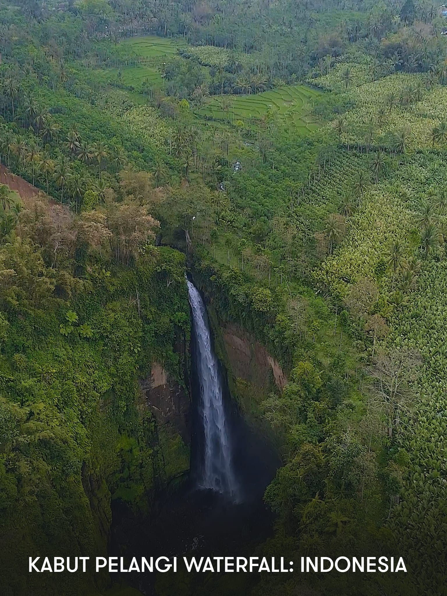 Prime Video: Kabut Pelangi Waterfall: Indonesia