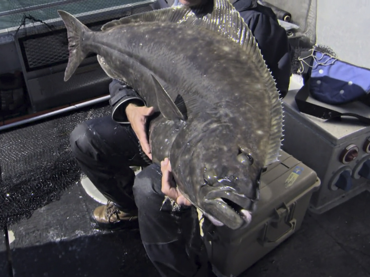 Prime Video: River Monsters - Season 7