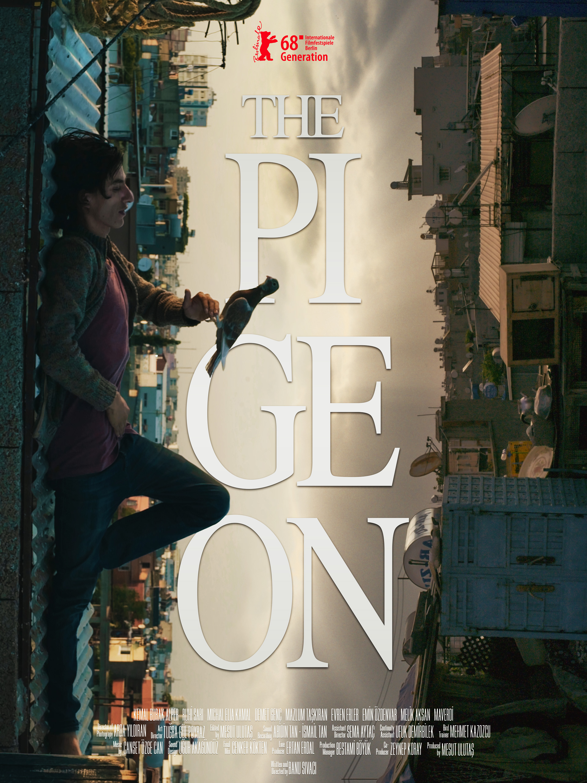 Prime Video: The Pigeon